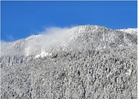 About Us | TIMBER MART