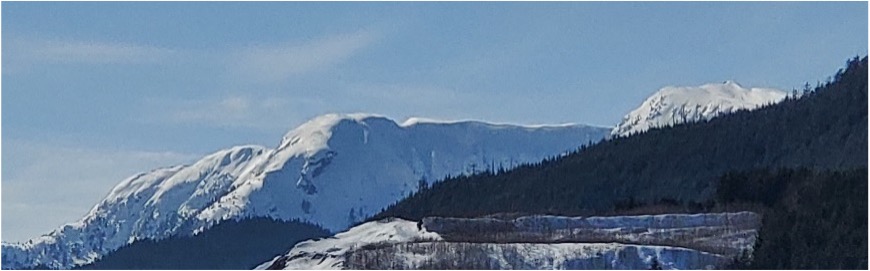 About Us | TIMBER MART